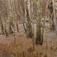 George Carlson -"Natural Forms" | Press Release | The Art Spirit Gallery