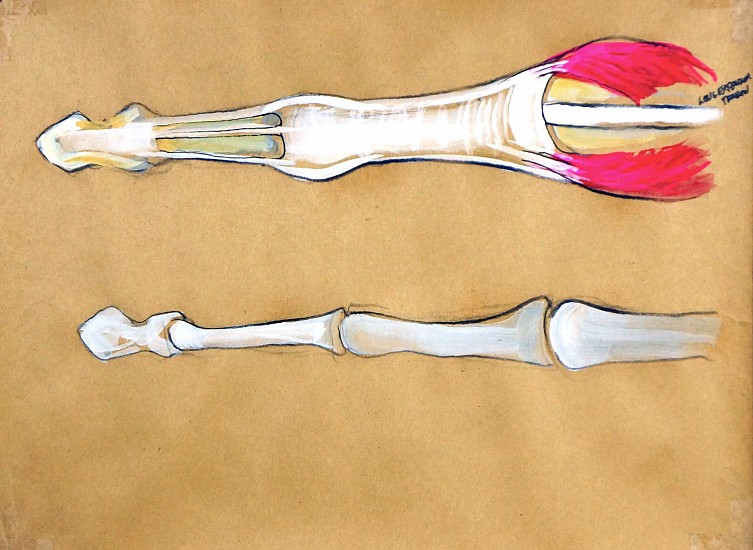 Peter Cox | | | The Art Spirit Gallery