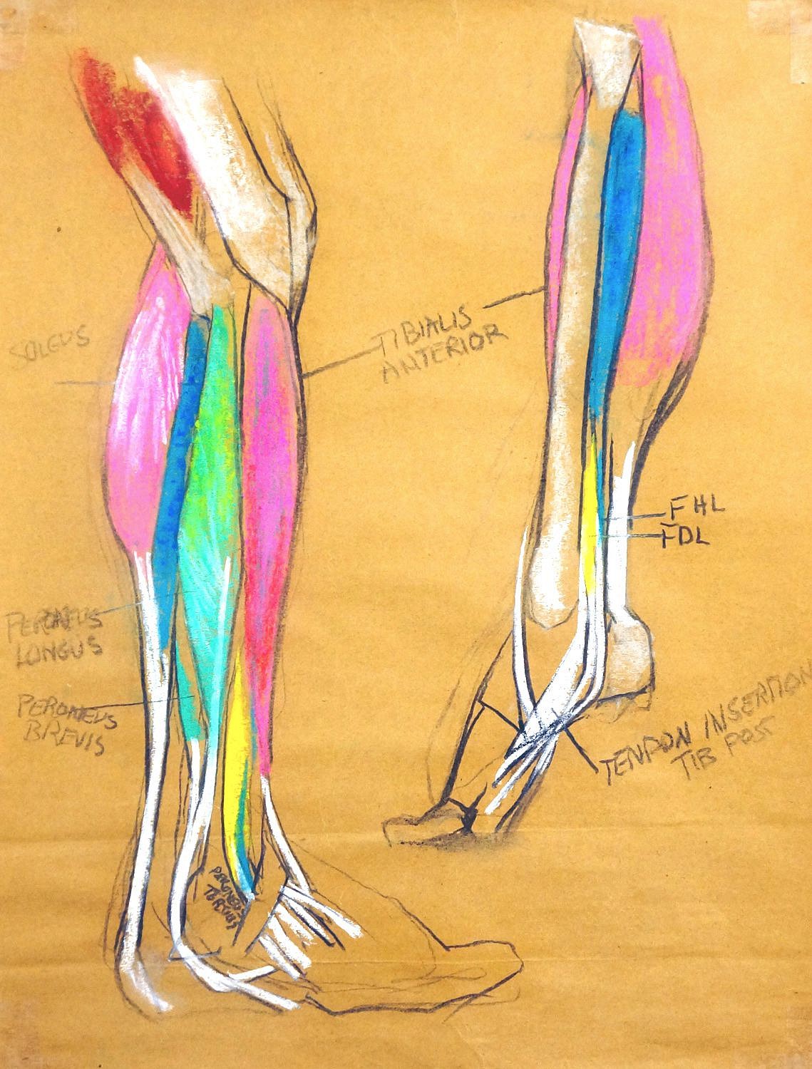 Peter Cox | Mask Study | 2009 | The Art Spirit Gallery