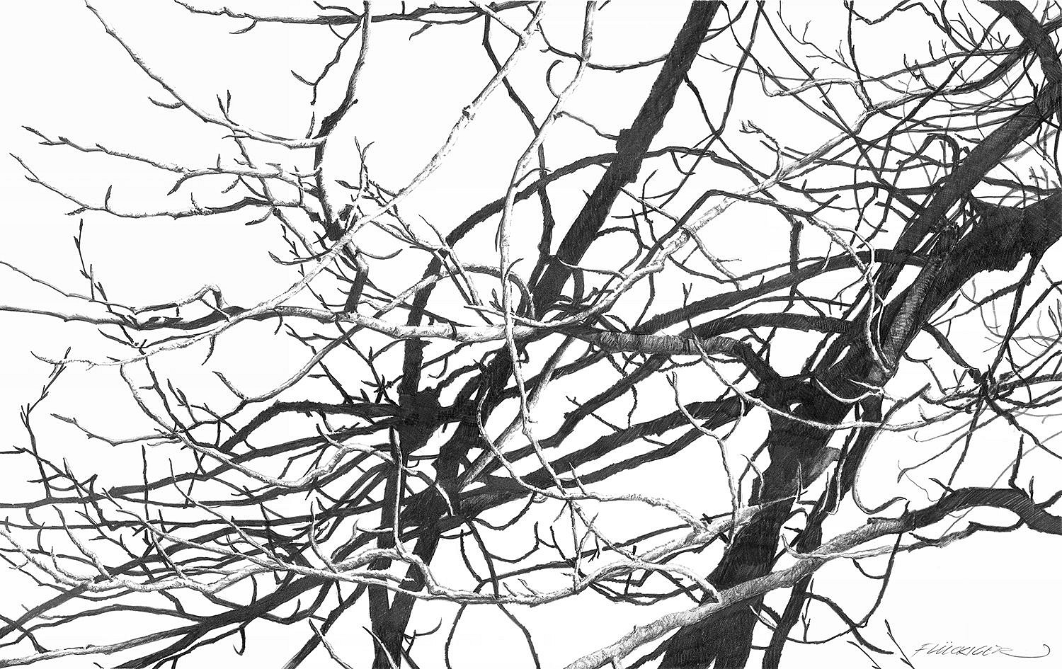 Doug Fluckiger | Solstice | 2020 | The Art Spirit Gallery