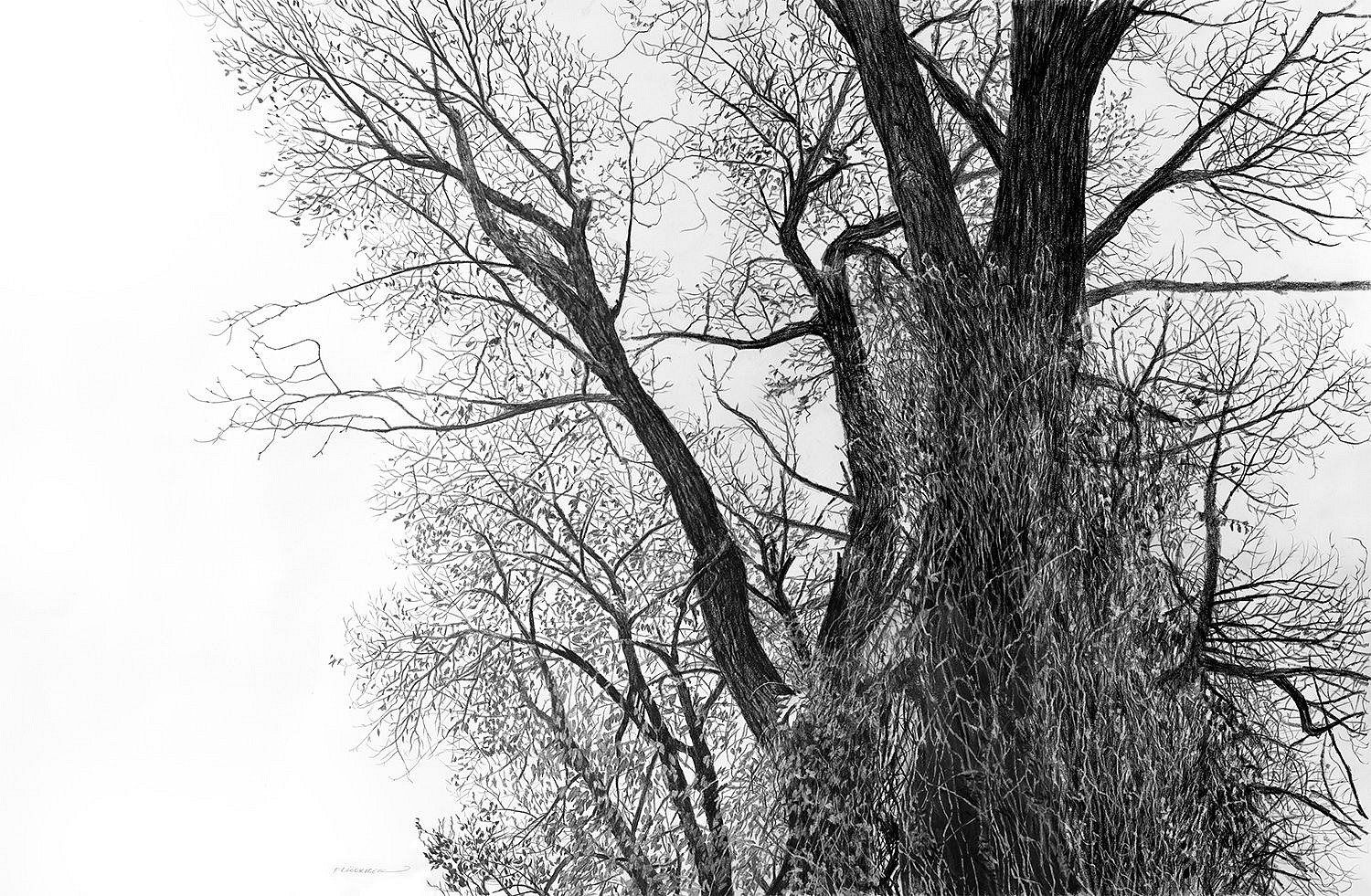 Doug Fluckiger | Solstice | 2020 | The Art Spirit Gallery