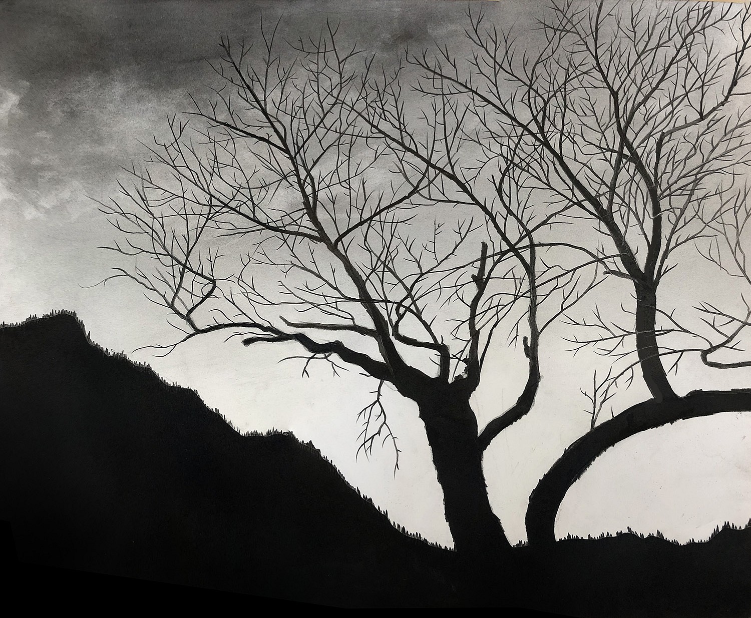 Doug Fluckiger | Solstice | 2020 | The Art Spirit Gallery