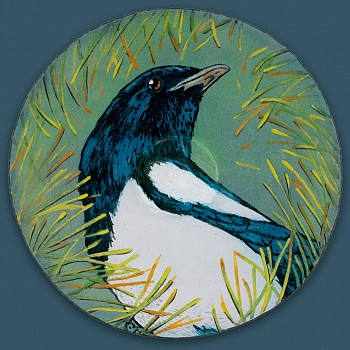 Sheila Evans | Works | The Art Spirit Gallery