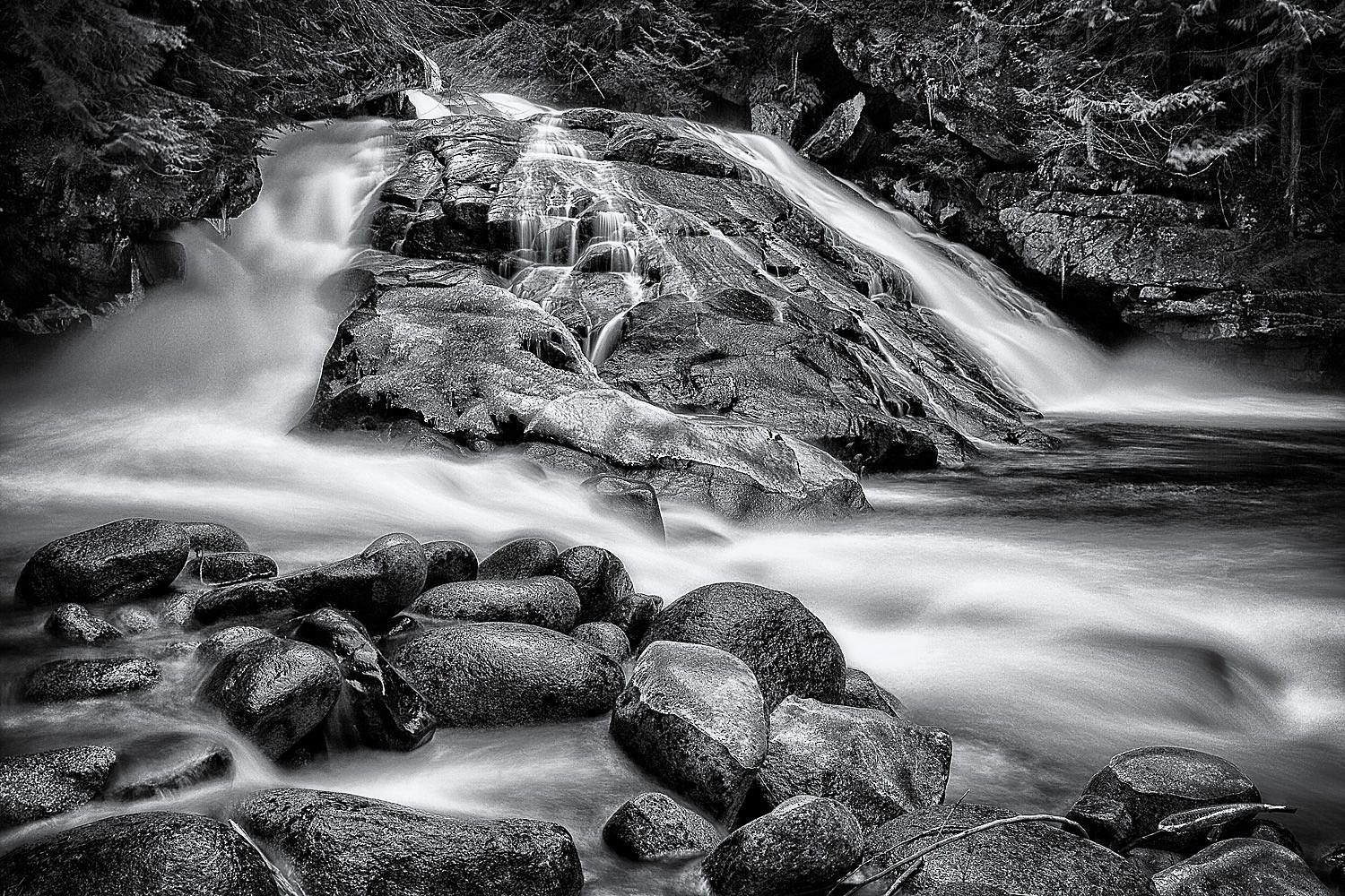 Mike DeCesare | Glacier Park | 2021 | The Art Spirit Gallery
