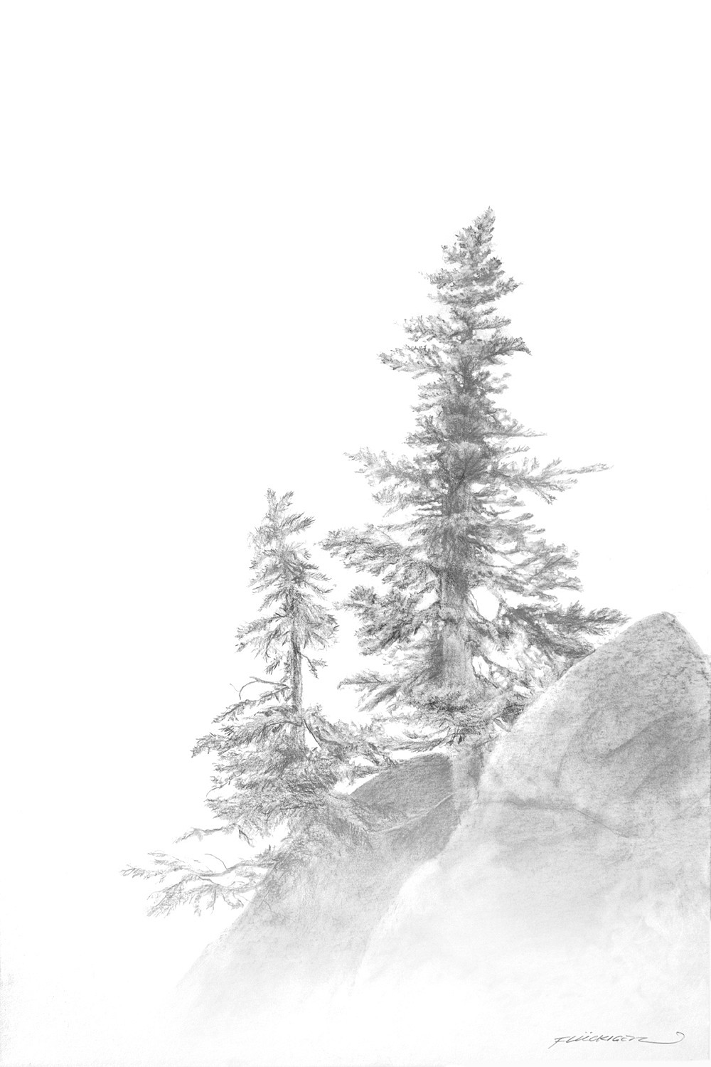 Doug Fluckiger | | | The Art Spirit Gallery